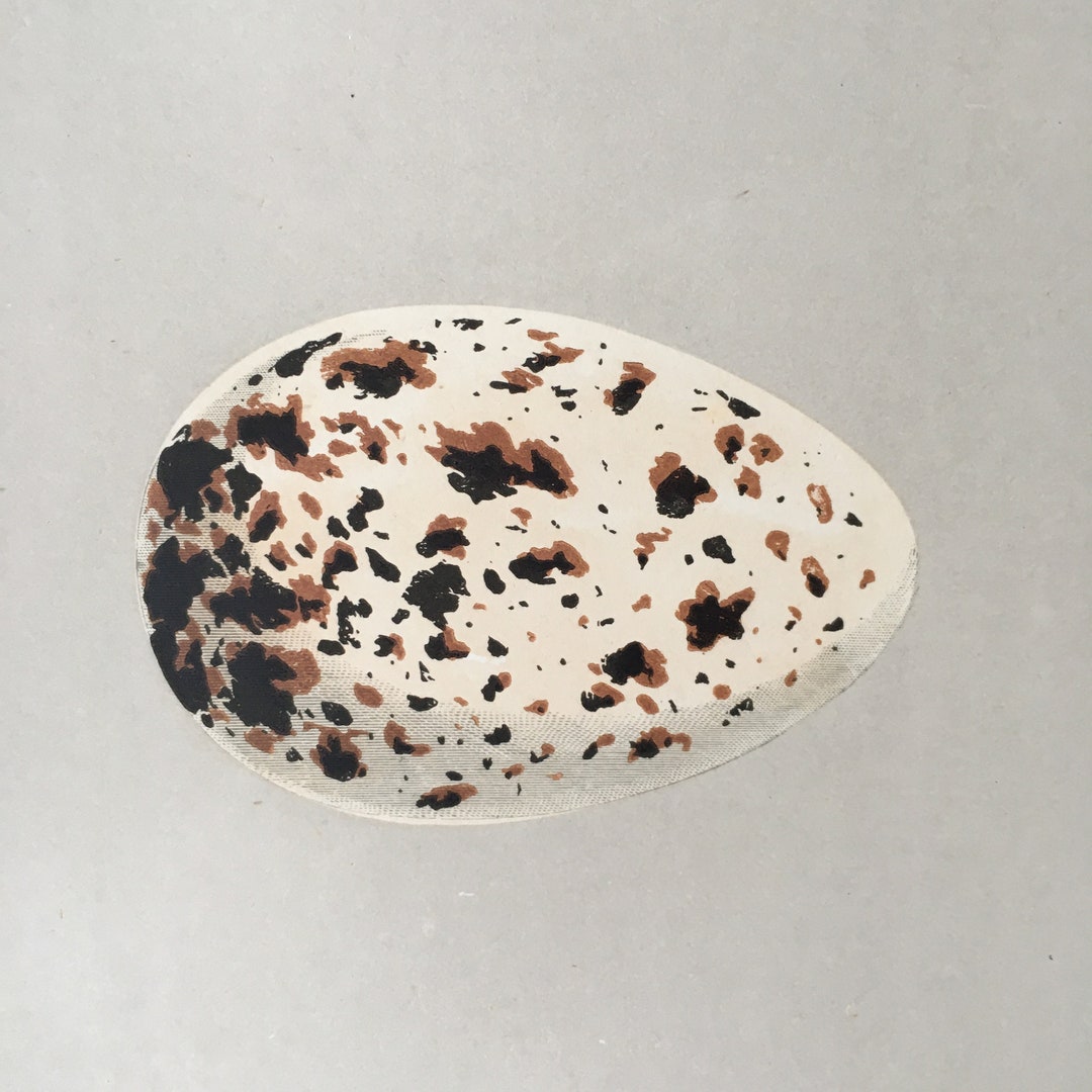 1892 Antique Bird Eggs Chromolithograph, Razorbill, Lesser Auk ...