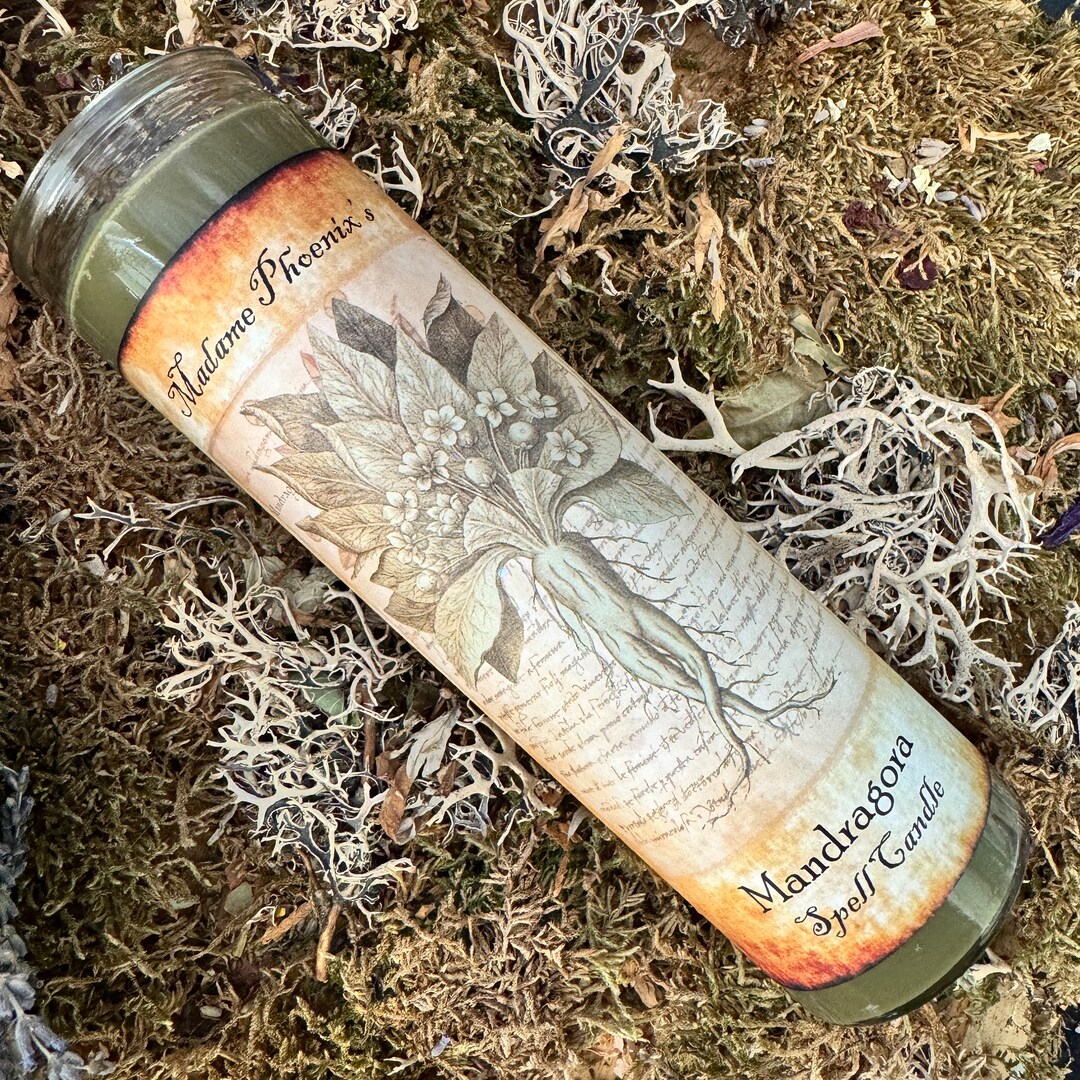 Mandragora | Mandrake 7 Day Spell Candle - Etsy