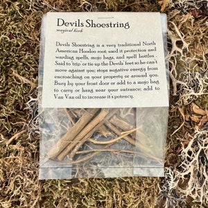 Devils Shoestring Root: Hoodoo Protection Herb, Mojo Bag Ingredient - Etsy