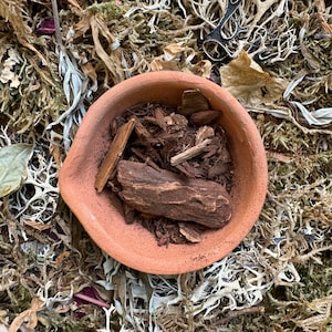 Jezebel Root - Etsy Canada