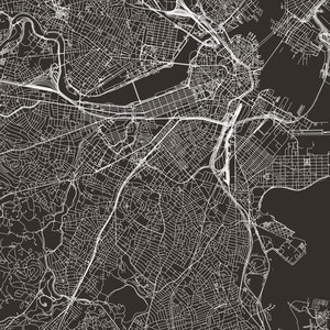 BOSTON CITY MAP Line Art City Map Road Map of Boston Minimalist City ...