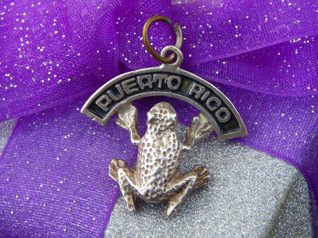 Vintage Puerto Rico Coquí Tree Frog 3-D Sterling Silver & Black Enamel ...