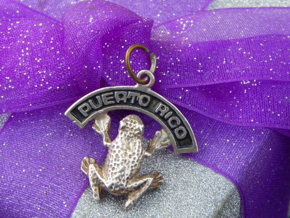 Vintage Puerto Rico Coquí Tree Frog 3-D Sterling Silv… - Gem