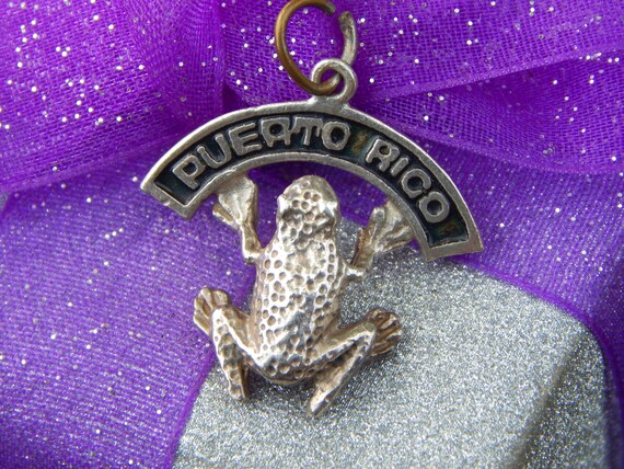 Vintage Puerto Rico Coquí Tree Frog 3-D Sterling Silv… - Gem