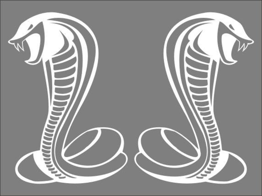 Cobra Snake Decals , 2 Decals, Vinyl Decal - Etsy
