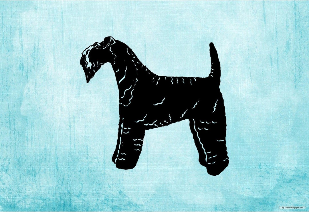 Kerry Blue Terrier Vinyl Decal, Dog Lovers - Etsy