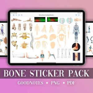 Human Bones Sticker Pack Anatomy Sticker Skeleton Stickers Medical ...