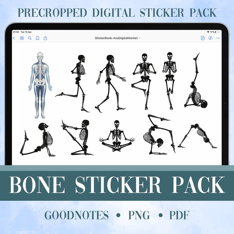 Human Bones Sticker Pack Anatomy Sticker Skeleton Stickers - Etsy
