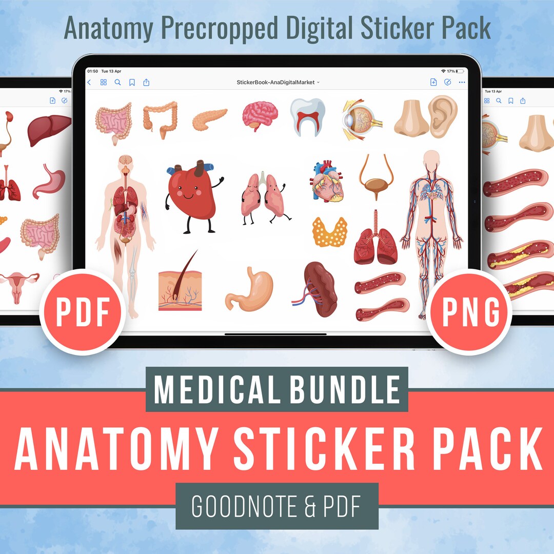 Anatomy Digital Sticker Pack Medical Student Stickers Precropped ...