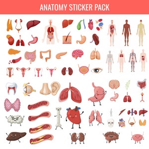Anatomy Digital Sticker Pack Medical Student Stickers Precropped ...