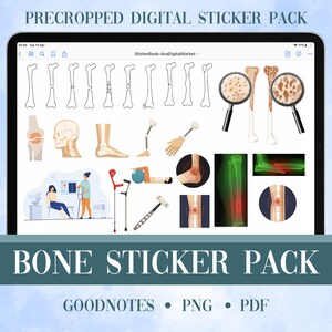 Human Bones Sticker Pack Anatomy Sticker Skeleton Stickers Medical ...