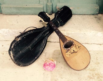 Bowl Back Mandolin Case - Etsy