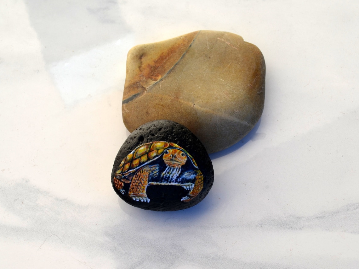 Tortoise Painted Rock Artwork Original Handmade Totem Stone - Etsy