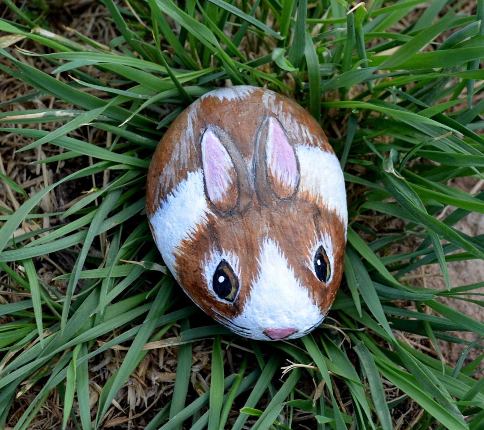 Painted Rabbit Rock Art Dutch Rabbit Animal Rock Art Pet - Etsy