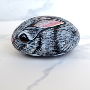 Rabbit Painted Rock Art, Animal Stone Creation of Cute Cottontail ...