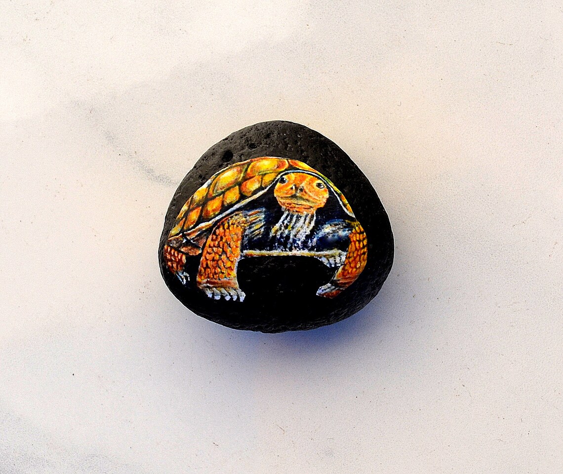 Tortoise Painted Rock Artwork Original Handmade Totem Stone - Etsy