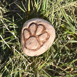 Stone Engraved W/ Initial Option Pet Paw, Memory Carved Stone, Dog ...