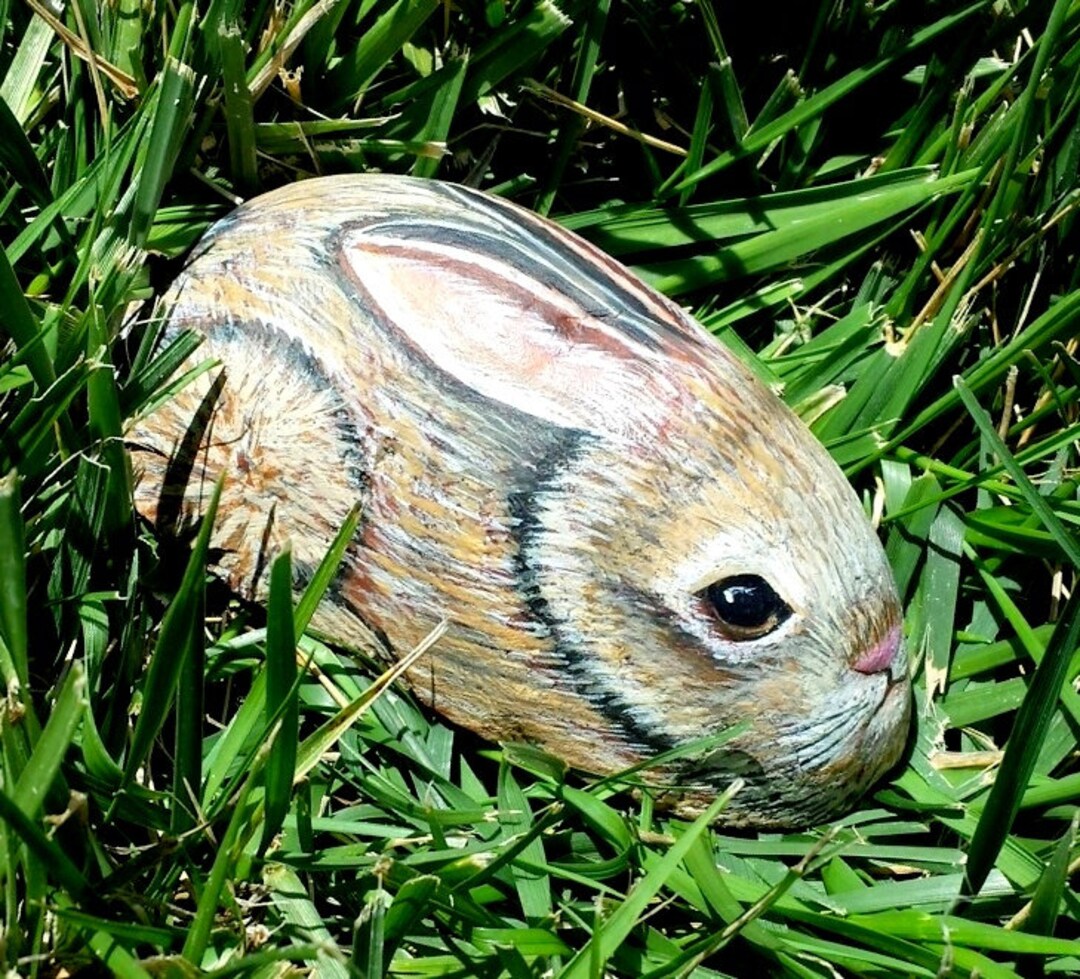 Rabbit Rock Paintings, Made to Order, Animal Rock Art, Bunny Rabbit ...