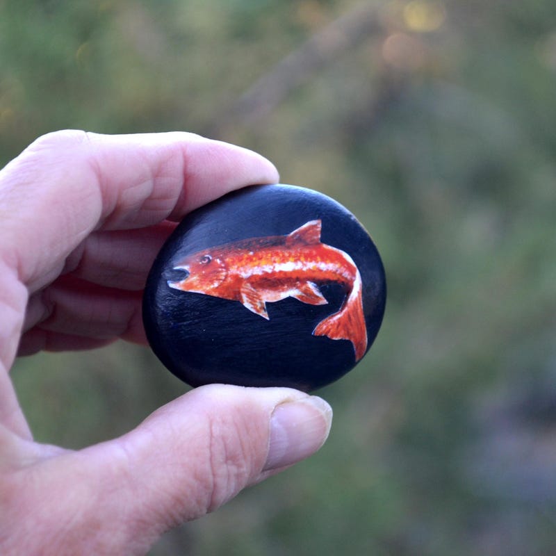 Hand Painted Salmon - Etsy