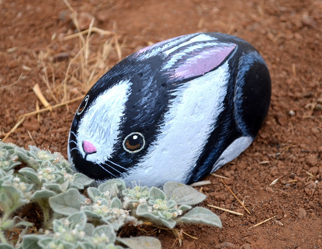 Rabbit Rock Paintings, Made to Order, Hand Painted, Animal Rock Art ...