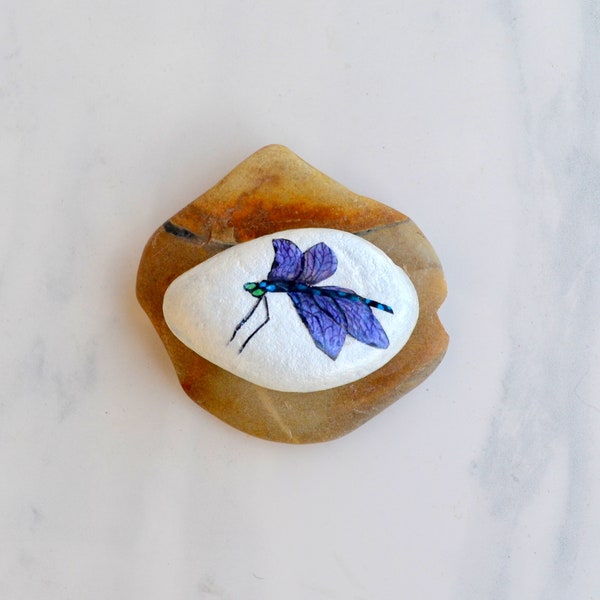 Dragonfly Painted Rock - Etsy