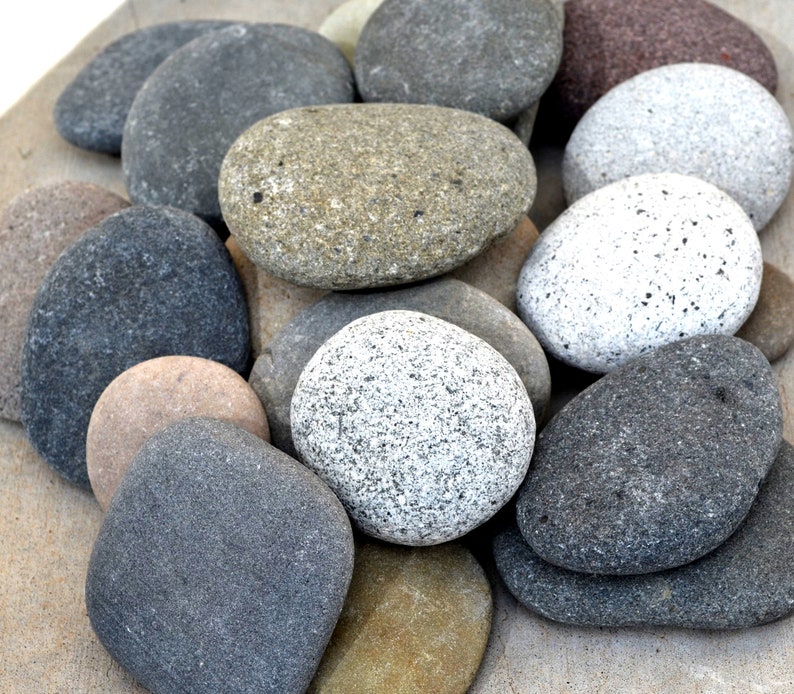 Raccoon Stone Paintings Hand Painted Rocks Raccoon Art - Etsy