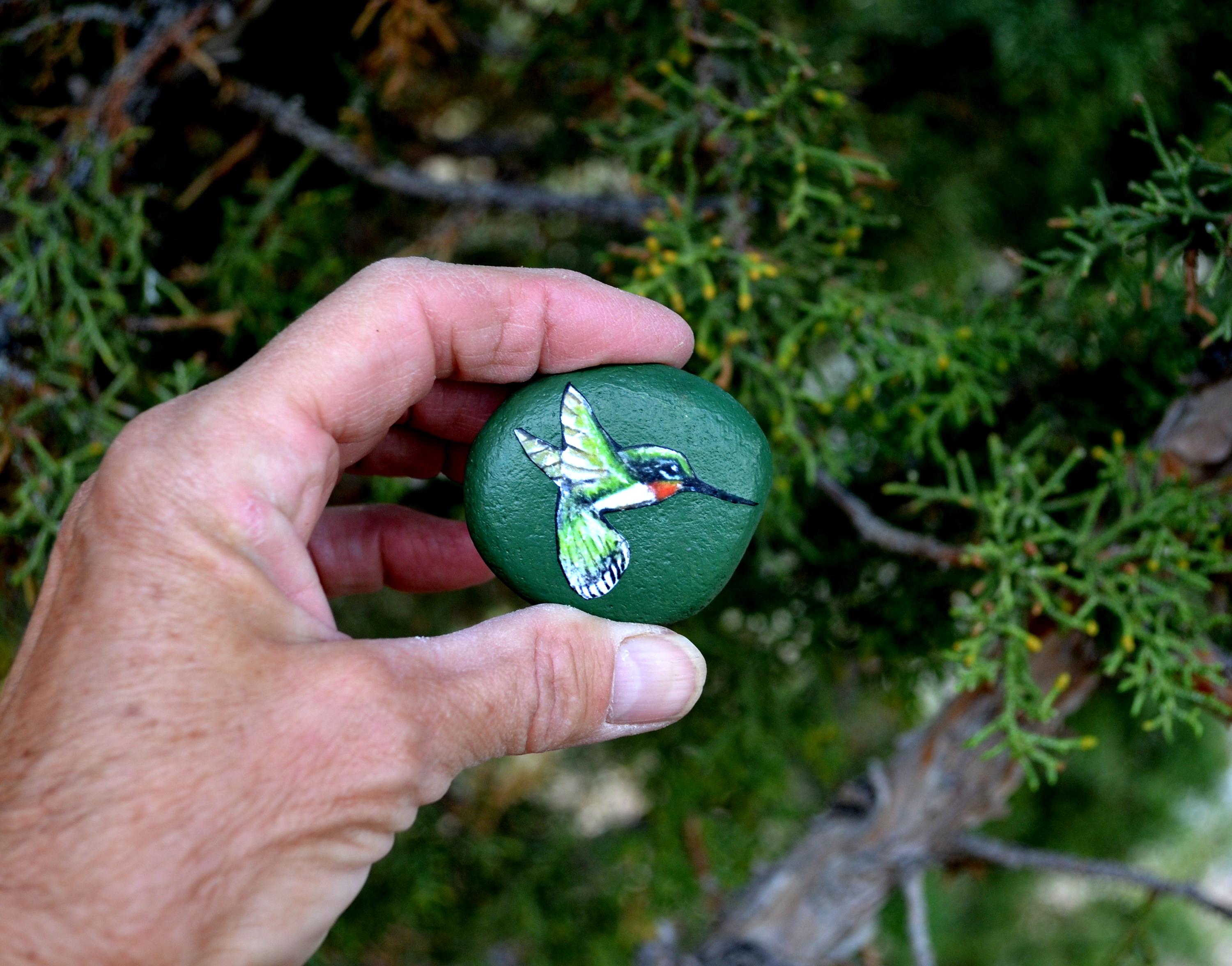 Hummingbird Painted Rock Art, Original Print on Stone Nature Gift - Etsy