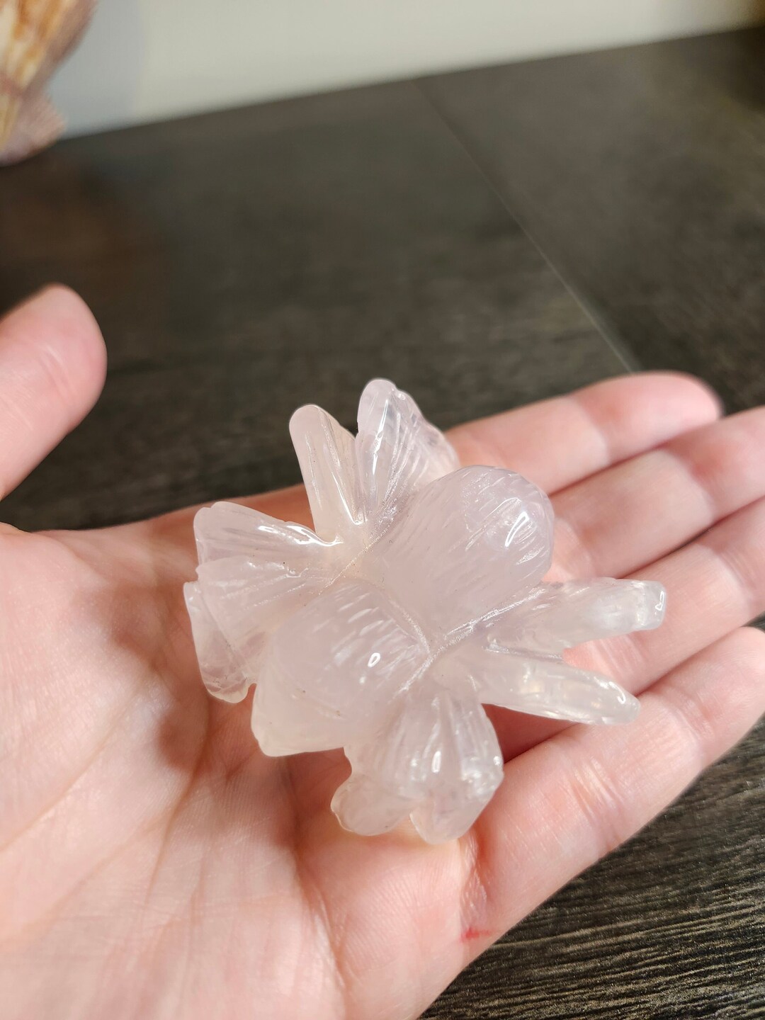 Rose Quartz Carving Crystal Spider Spider Crystal Halloween Crystal ...