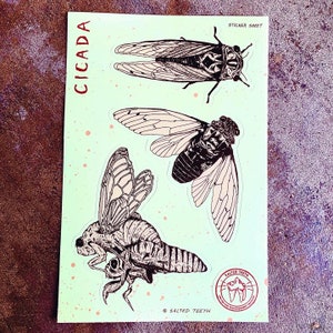 Cicada Sticker Set Sheet - Etsy