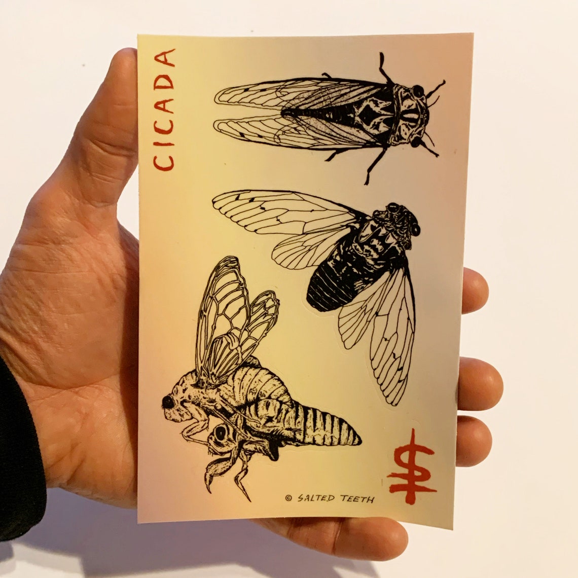 Cicada Sticker Set Sheet | Etsy