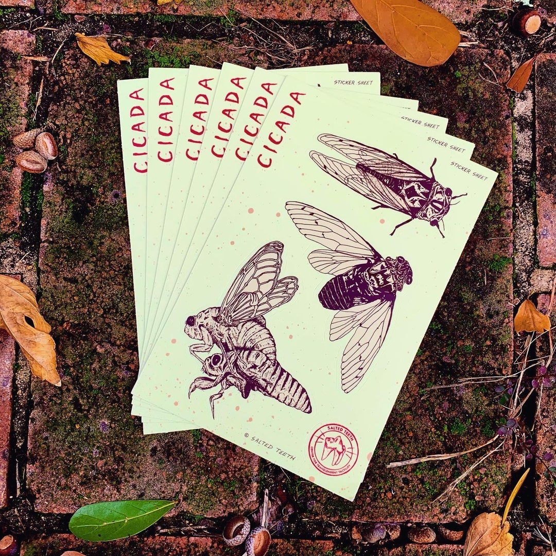 Cicada Sticker Set Sheet - Etsy