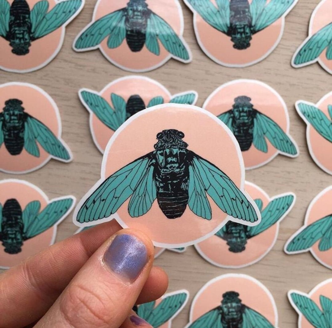 CICADA STICKER - Etsy