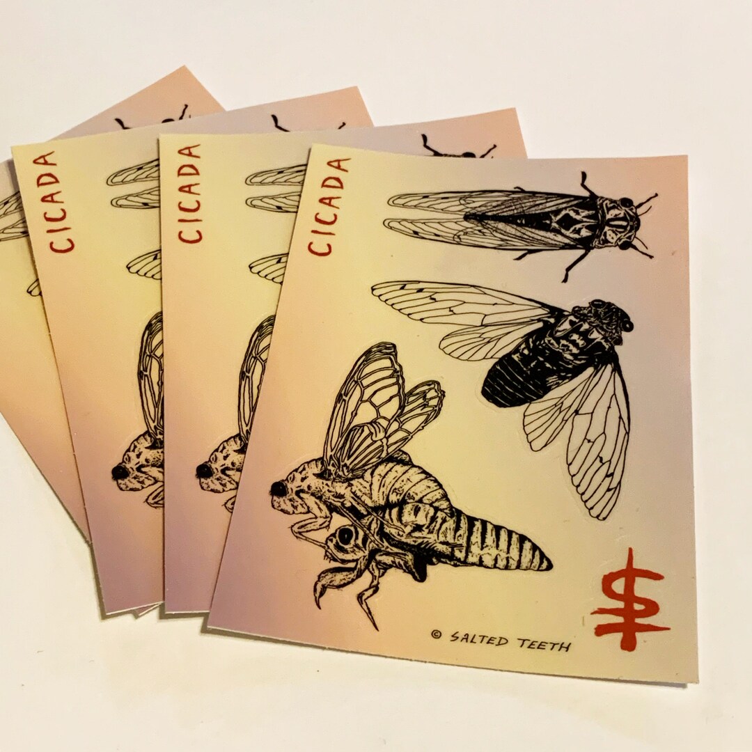 Cicada Sticker Set Sheet - Etsy