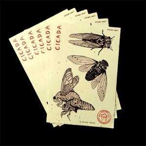 Cicada Sticker Set Sheet - Etsy
