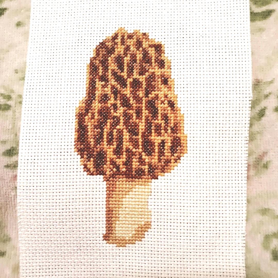 Morel Mushroom Cross Stitch Pattern (PDF) - Etsy
