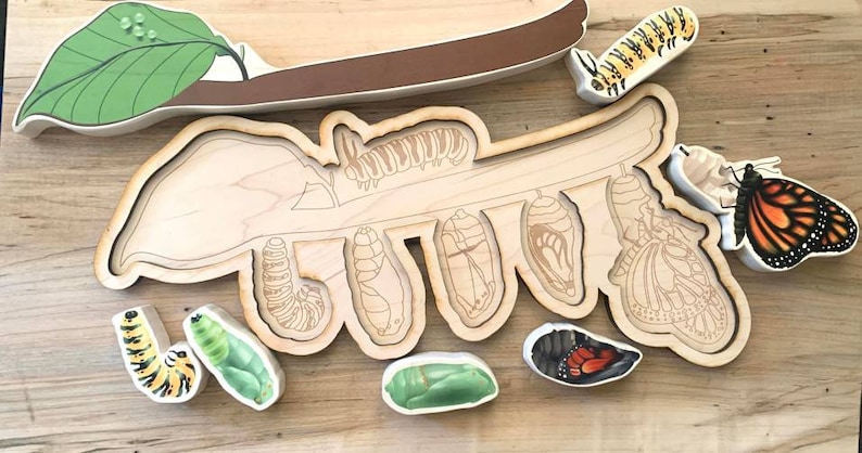 Monarch Butterfly Life Cycle Puzzle Wooden Montesori Puzzle - Etsy