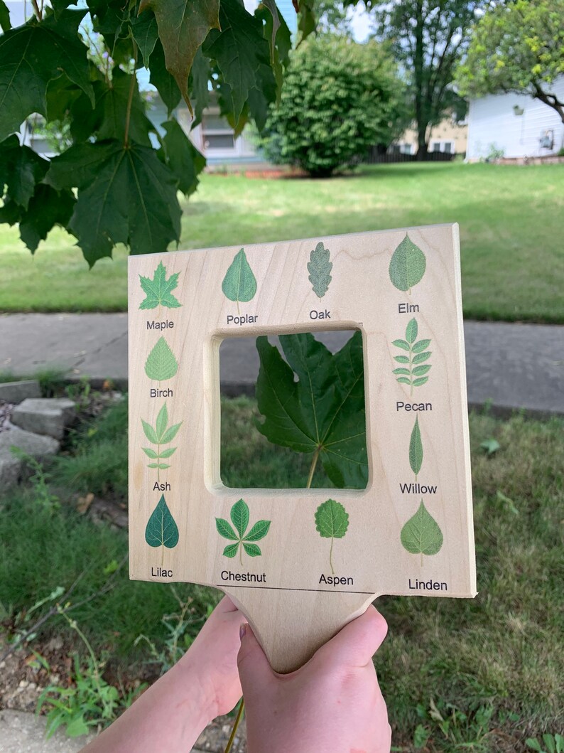 Nature guide finder leaf finder cloud viewer cloud | Etsy