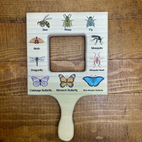 Nature Guide Finder Insect and Bug Identifier Bug Finder - Etsy