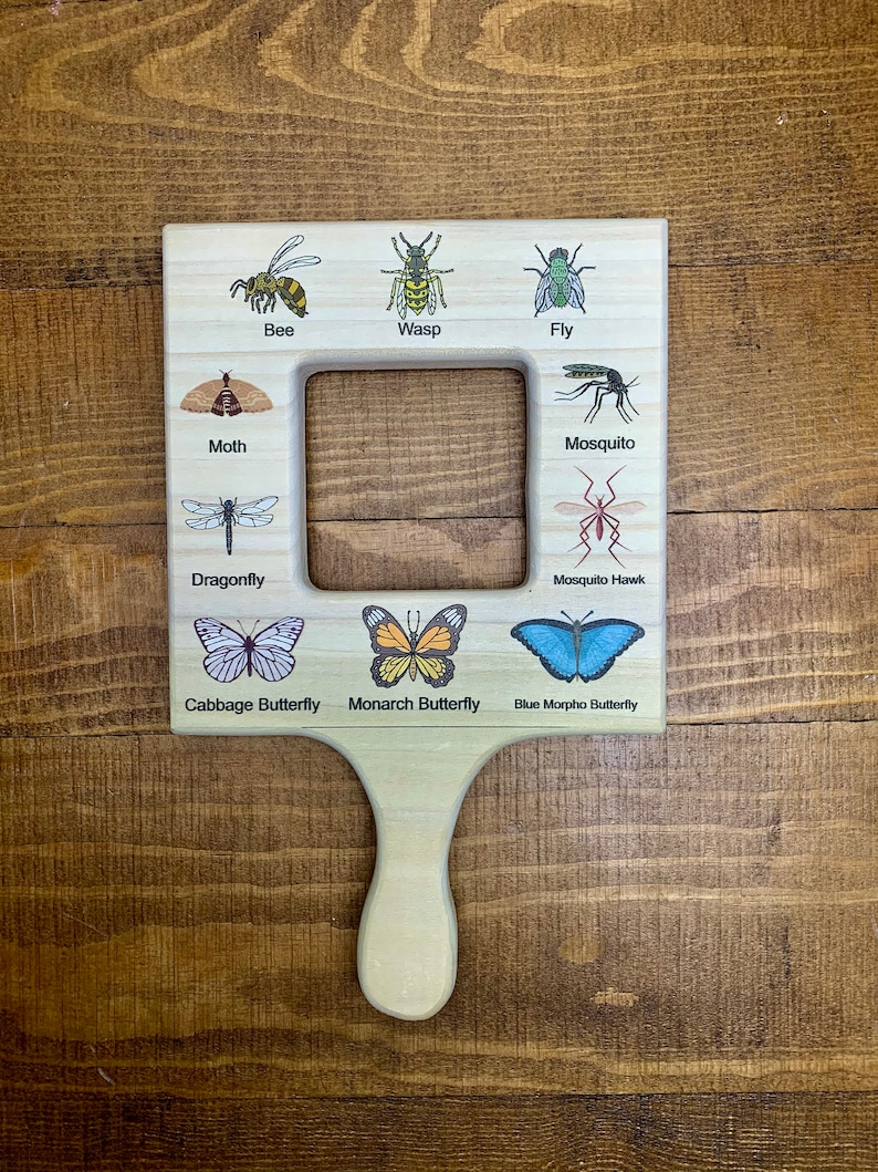 Nature Guide Finder Insect and Bug Identifier Bug Finder - Etsy
