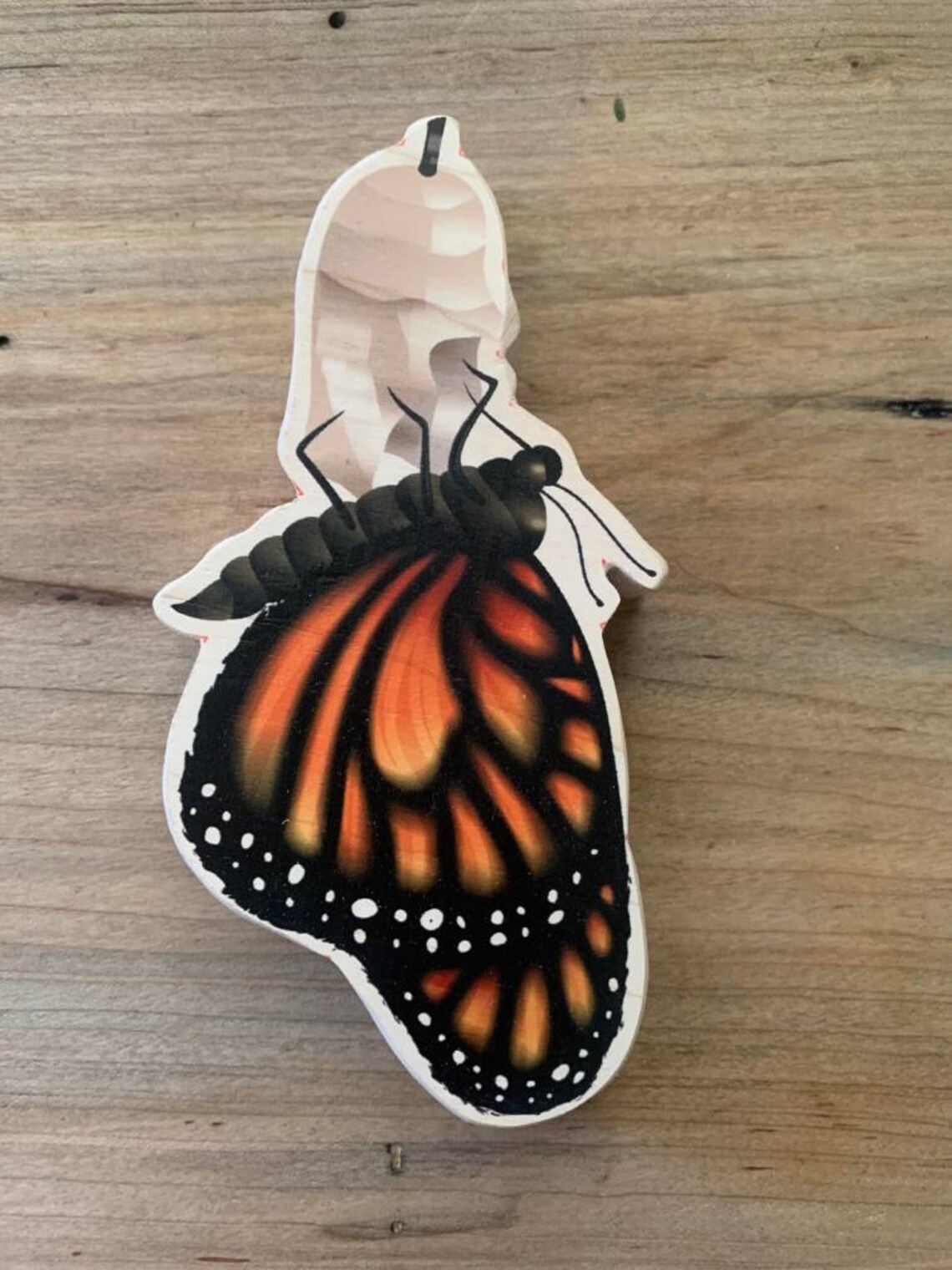 Monarch Butterfly Life Cycle Puzzle, Wooden Montesori Puzzle, Monarch ...