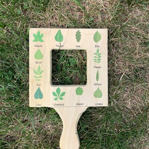 Nature Guide Finder, Leaf Finder, Cloud Viewer, Cloud Identification ...