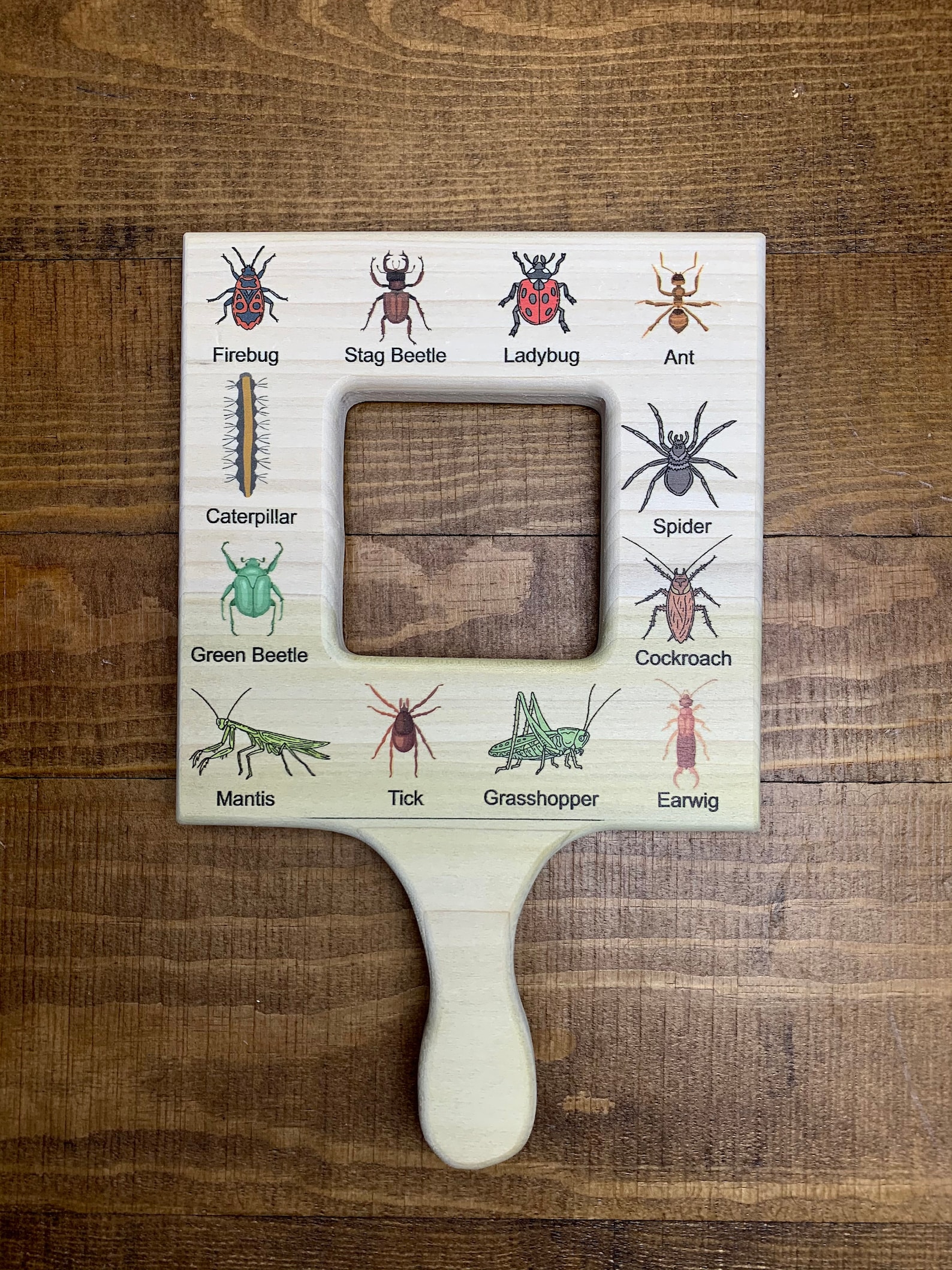 Nature Guide Finder Insect and Bug Identifier Bug Finder - Etsy