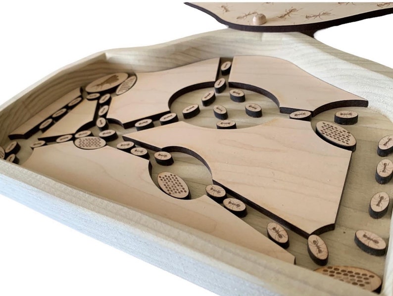 Interactive Ant Learning Tray, Learn About Ants, Ant Colony Tray ...