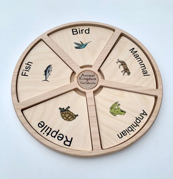 Wooden tray sorting tray animal classification tray inserts | Etsy
