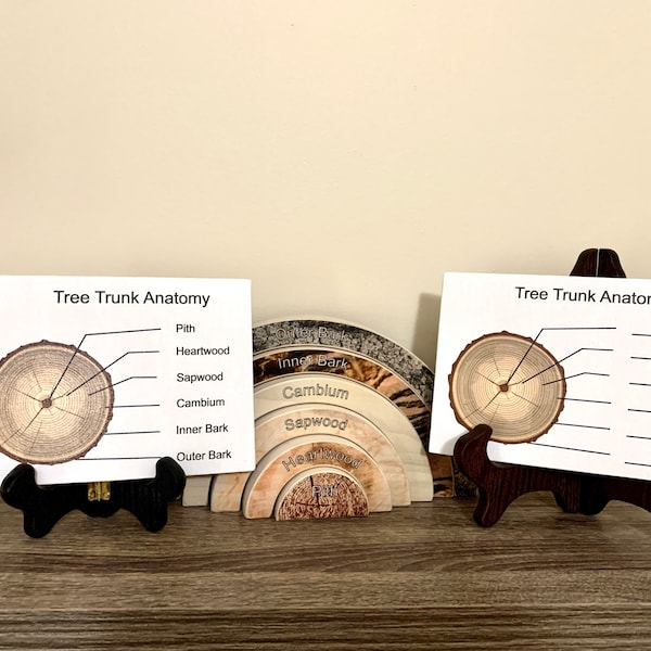 Montessori Materials - Etsy