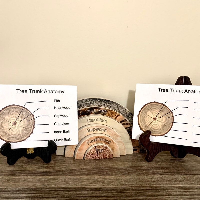 Montessori Materials - Etsy