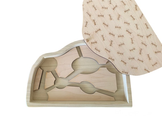Interactive Ant Learning Tray Learn About Ants Ant Colony - Etsy