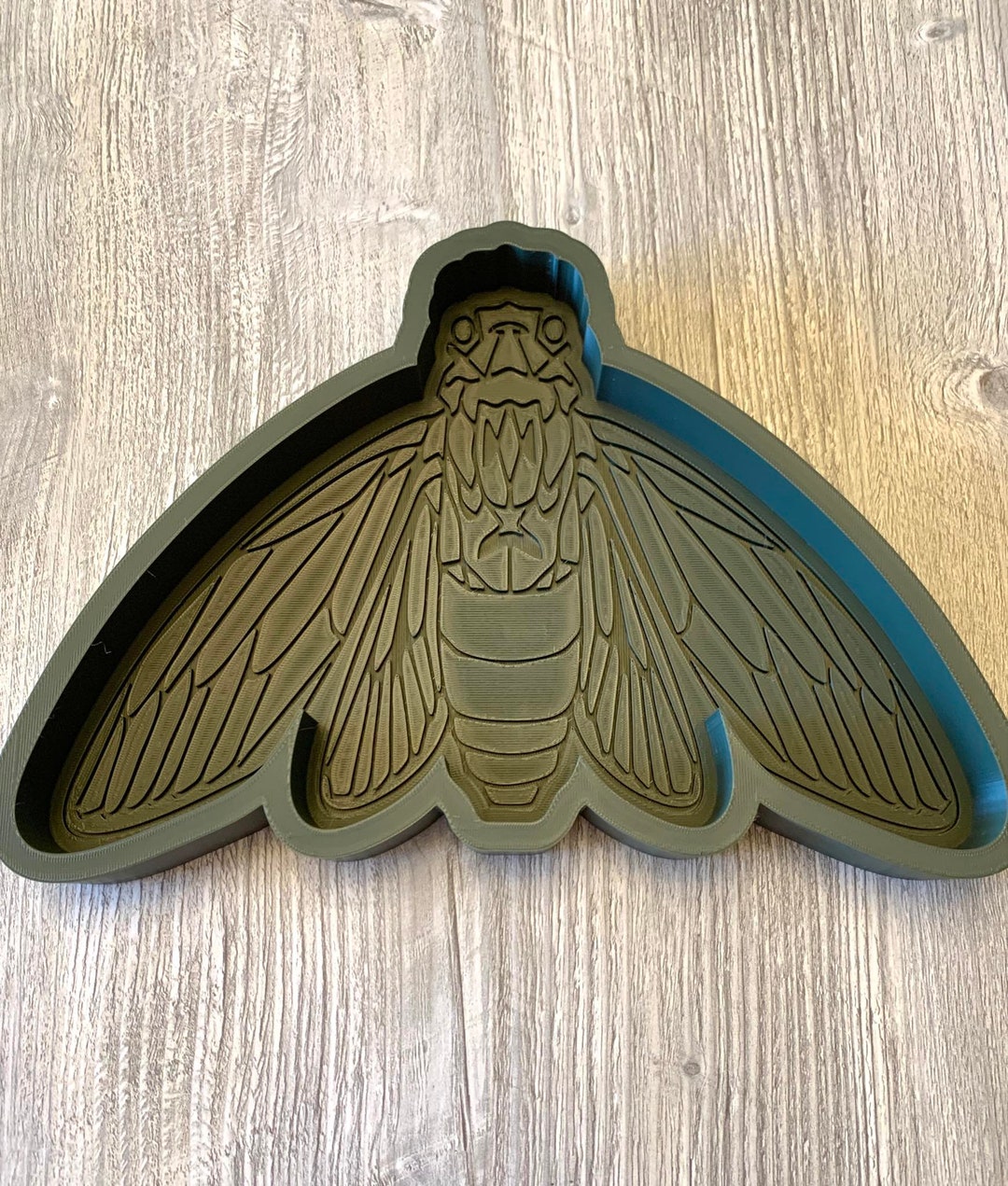 Cicada Sensory Tray, Sensory Play Cicada, Cicada Fizzy Play Eco Tray ...