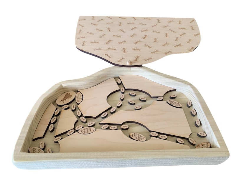 Interactive Ant Learning Tray, Learn About Ants, Ant Colony Tray ...