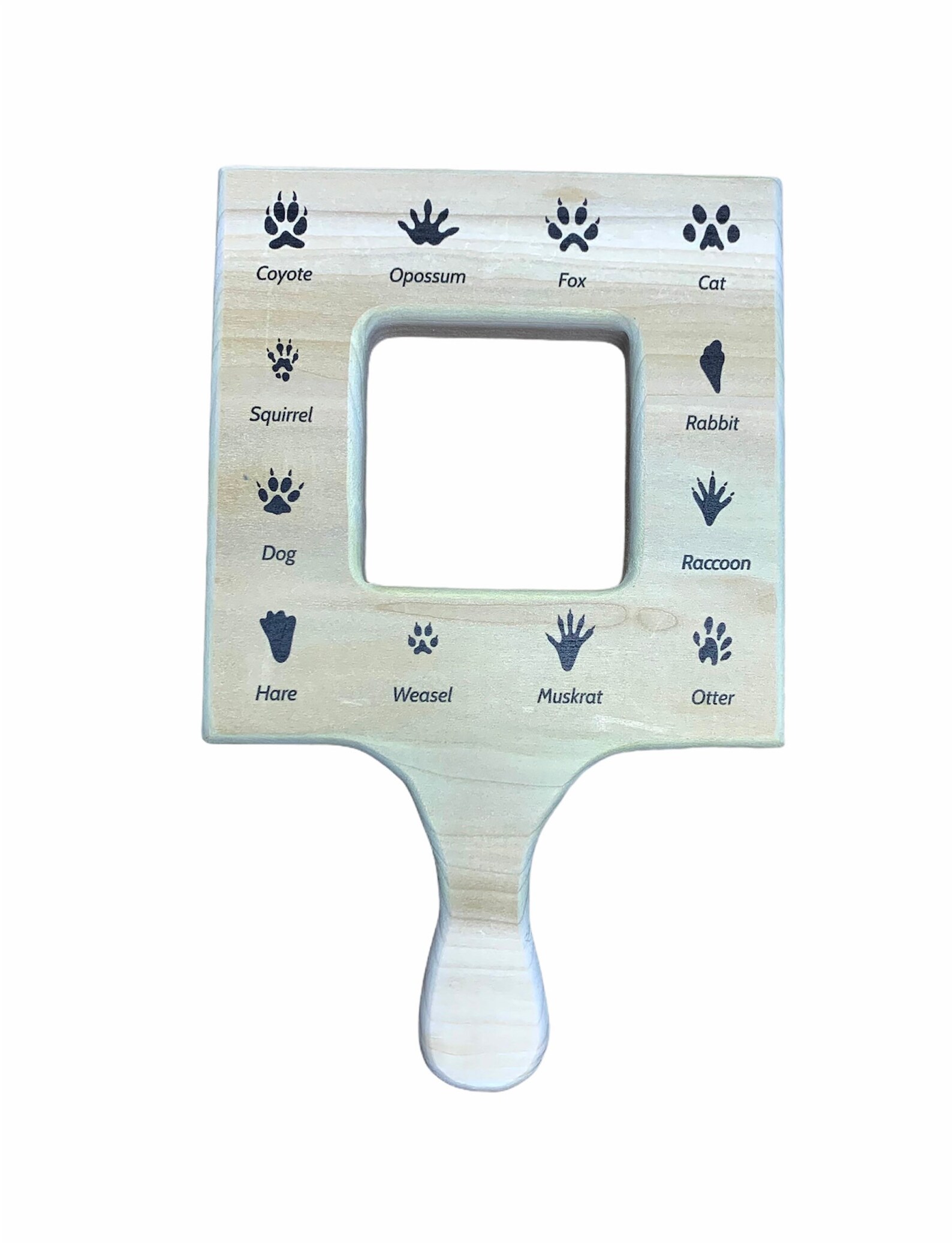 3 Nature Guide Finder Leaf Finder Cloud Viewer Cloud - Etsy